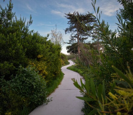 Santa Maria Attractions | What to Do in Santa Maria, CA