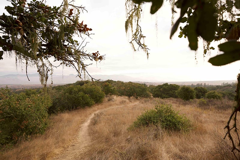 Guides for Your Next Santa Maria Valley Adventure | Santa Maria Valley