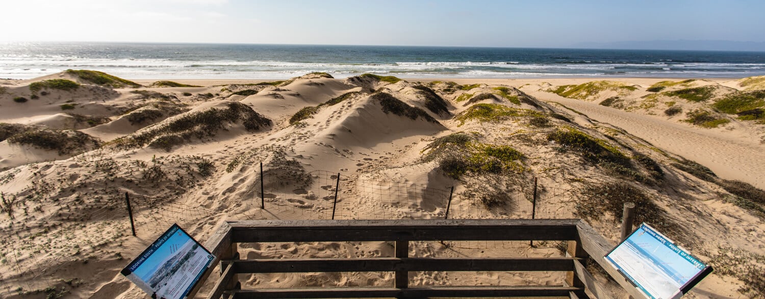 Oso Flaco Lake Trail | Santa Maria Valley